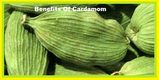 Benefits of eating cardamom and drinking hot water at night.