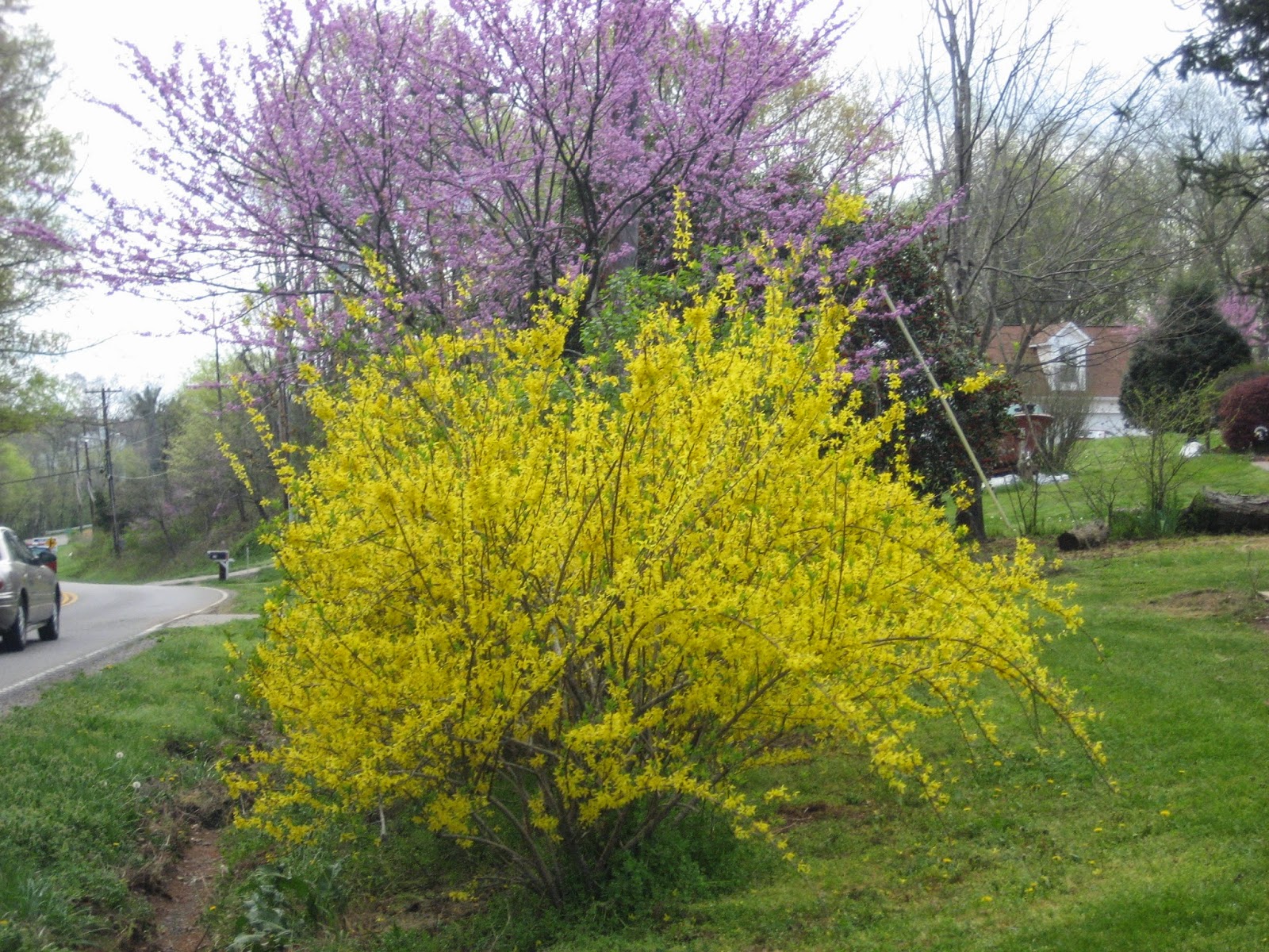 Valkyrie Adventure: Spring In East Tennessee