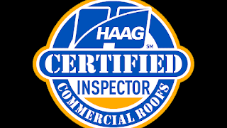 Haag Hail Damage Guide - Damage Choices