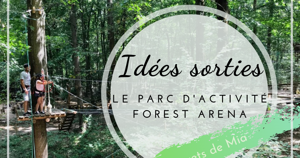 Forest Arena : un parc de loisirs en Seine-et-Marne