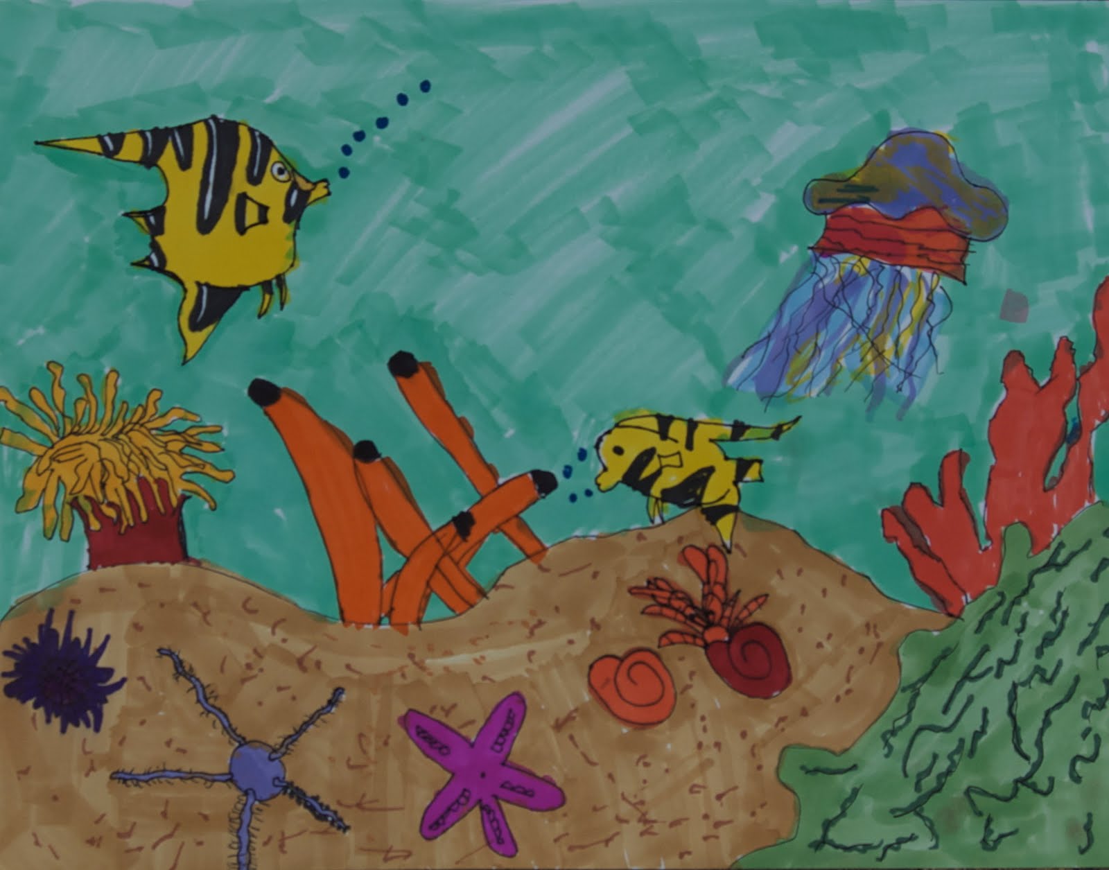 Art Classes for Homeschool Students: The Coral Reef