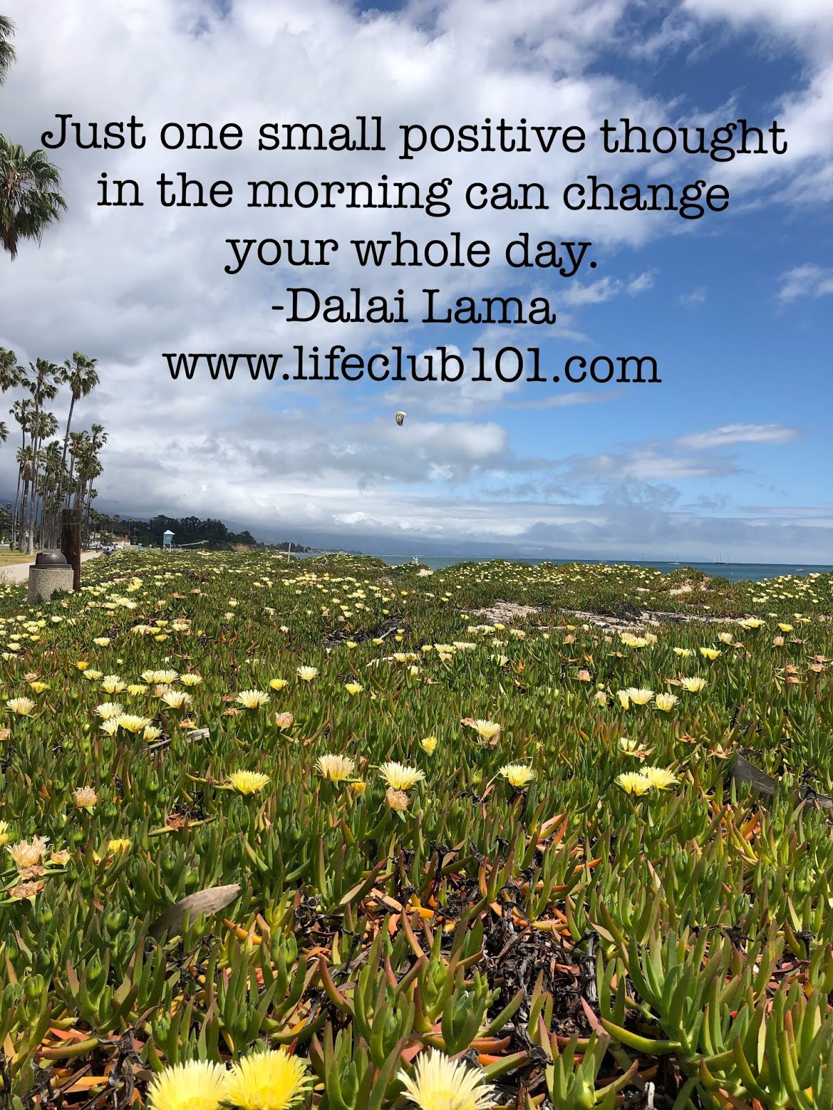 Life is so beautiful.Live your life and enjoy every moment of it ...