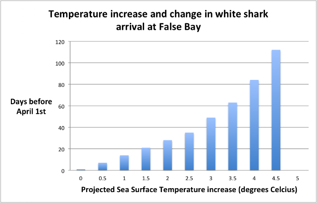 Impacts of rising sea surface temperatures on white shark migration ...