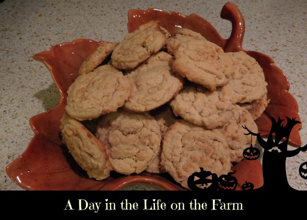 A Day in the Life on the Farm: Zagnut Cookies for #FoodnFlix