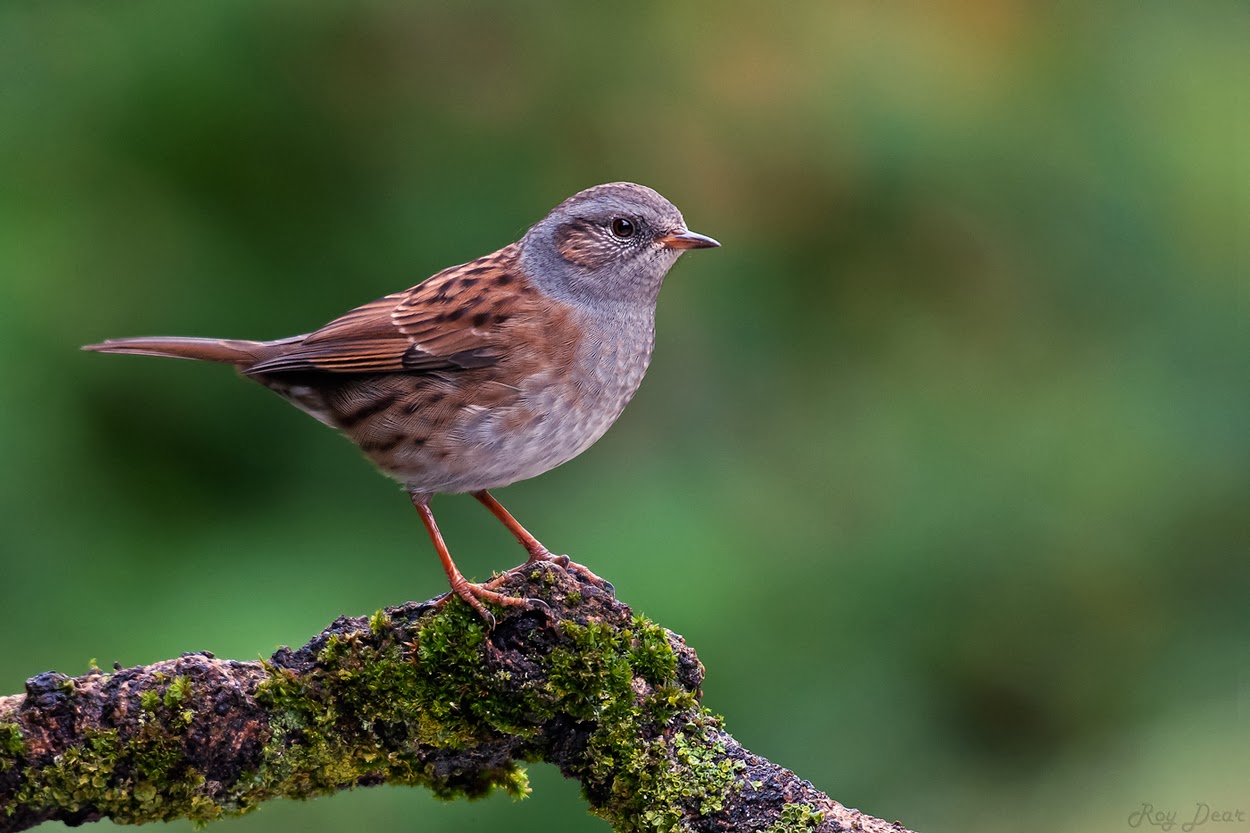 Foto's: oktober 2013