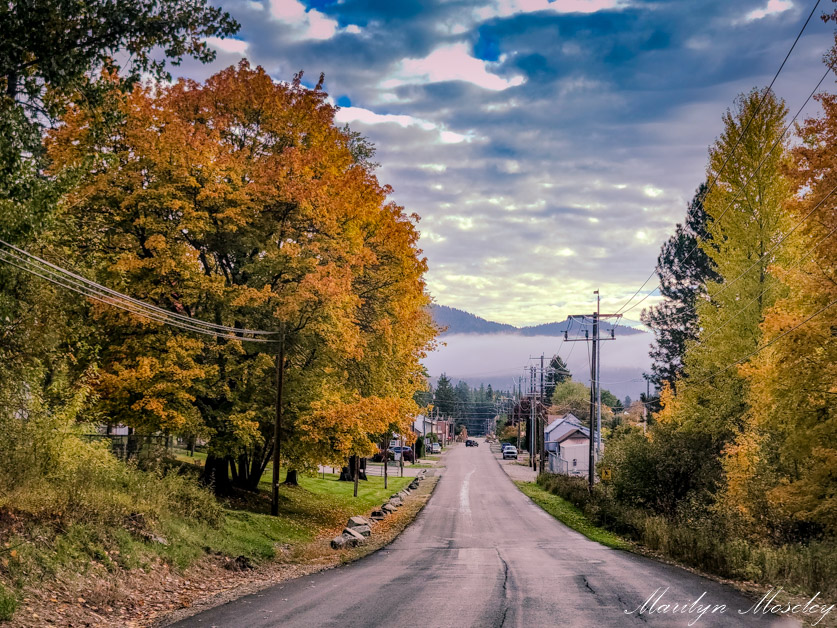 A Season of Splendor | Mountain Top Spice