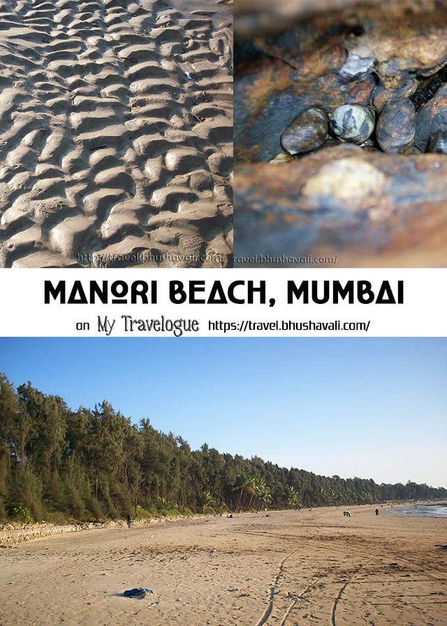 Day trip to Manori Beach & Sanjay Gandhi National Park (Mumbai ...