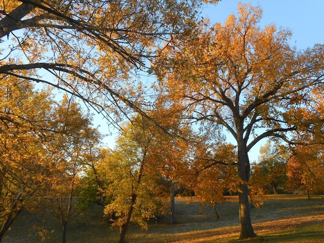 The Lucas Countyan: Sunday morning rises at Red Haw State Park