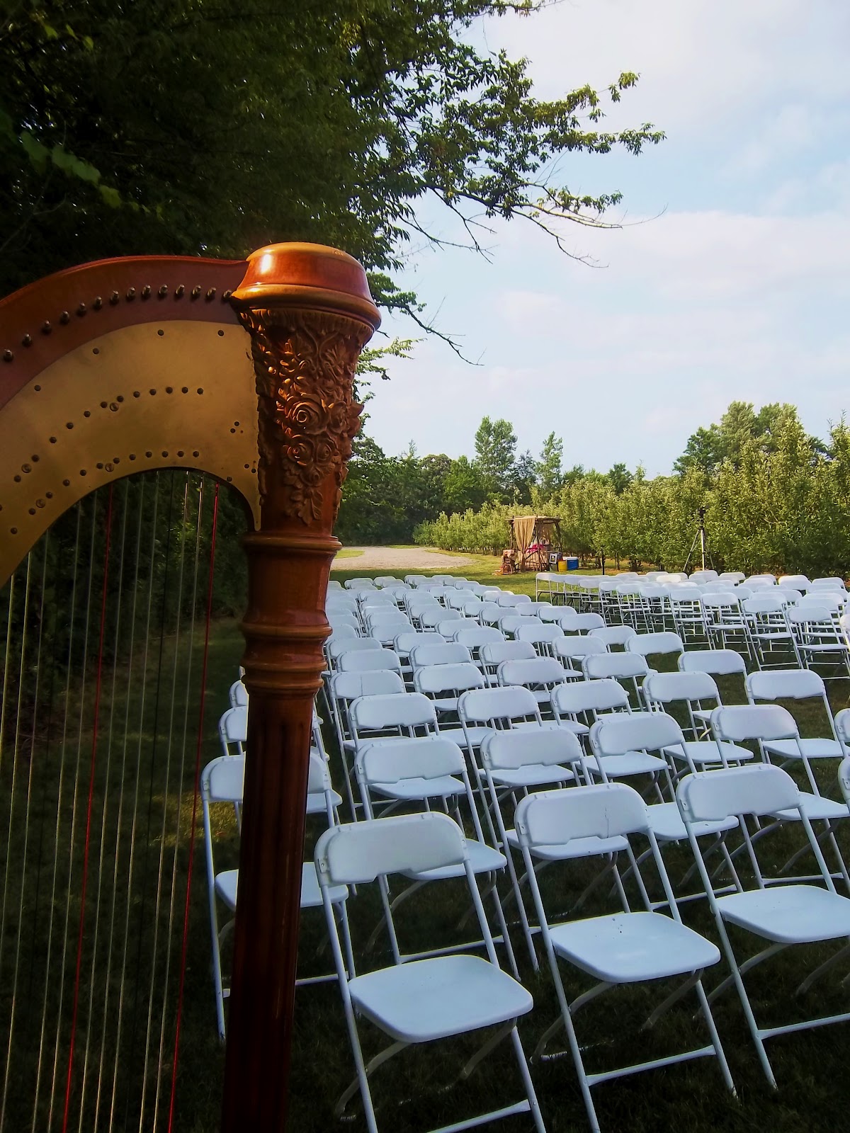 The Classic Harpist: Northwest Indiana Harpist ~ Wedding Ceremony at ...