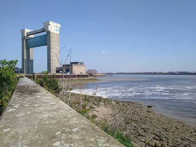 Walk 10b - From Barking to the Thames, along the River Roding