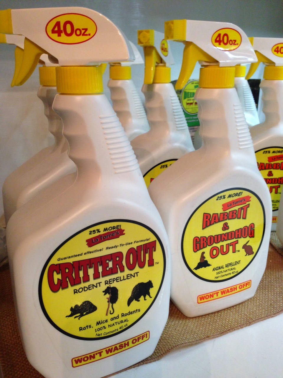 House and Garden Boutique