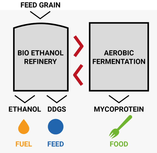 PLENITUDE project – Sustainable mycoprotein biorefinery