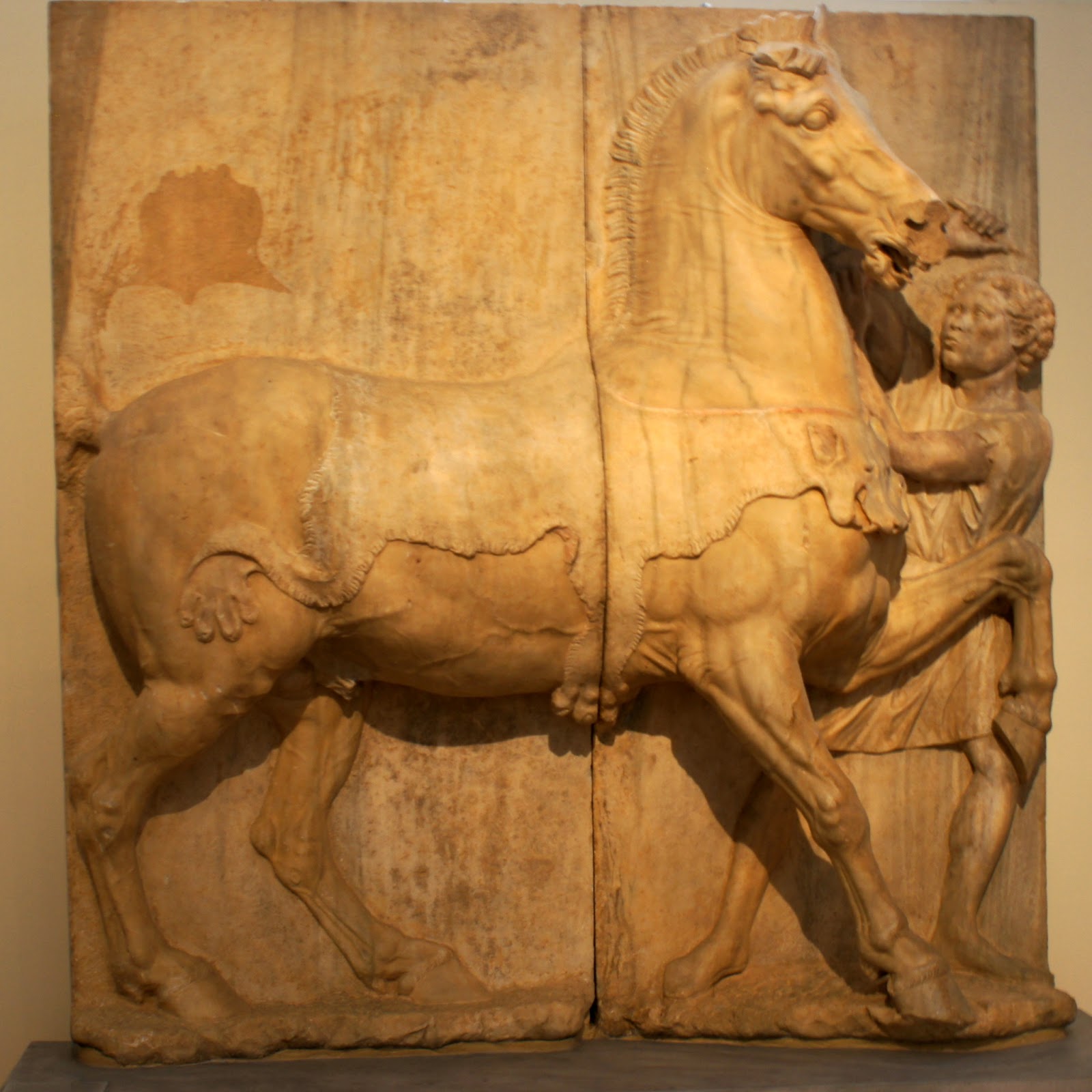 The View from Sliabh Mannan: Ancient Greek Horses