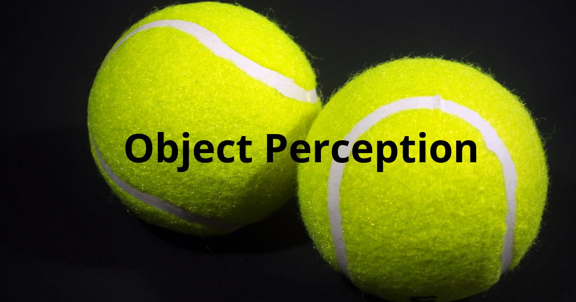 Perception- Object Perception - Health with Hamdani