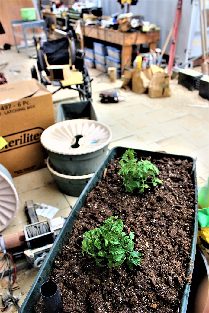 The Field Lab: another day...