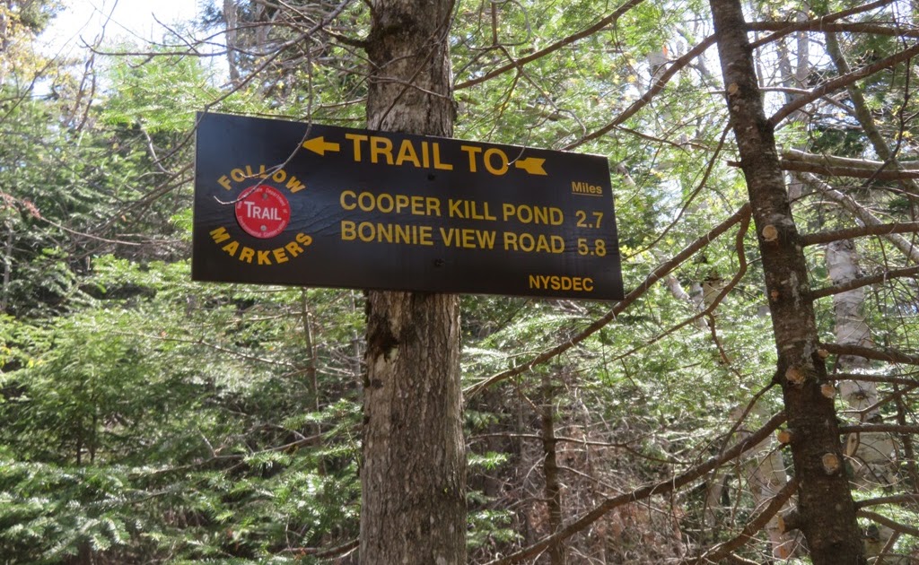Mountain Wandering: Adirondacks: Cooper Kiln Pond & Morgan Mountain 5/20/21