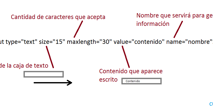 Cursos 15: Caja de texto en HTML