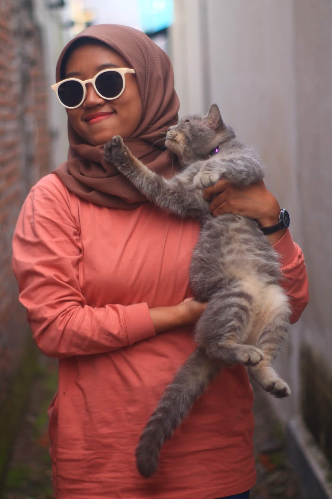 FUS Pada Kucing dan Kematian Pomilo - silviananoerita