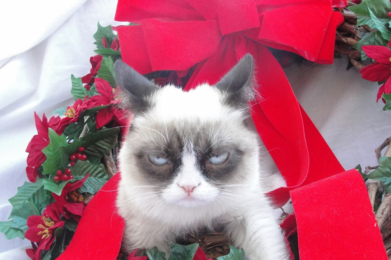 Top HD Wallpapers: Grumpy cat christmas wallpapers 2013