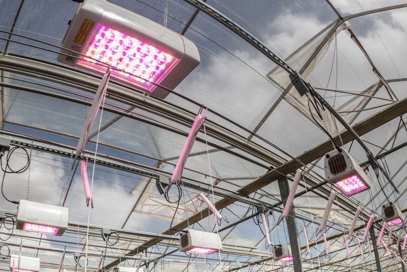 Bridge Farm Group Selects Heliospectra MITRA LED Lighting for United Kingdom Greenhouse and ...