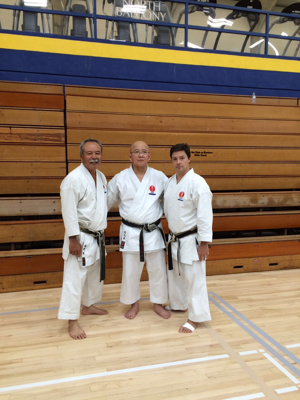 Ryuei Ryu Argentina : Estilo-Historia