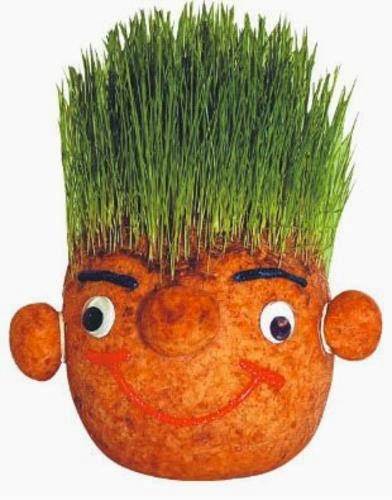 NATURANIS: COMO REALIZAR UN LOCO LOPE