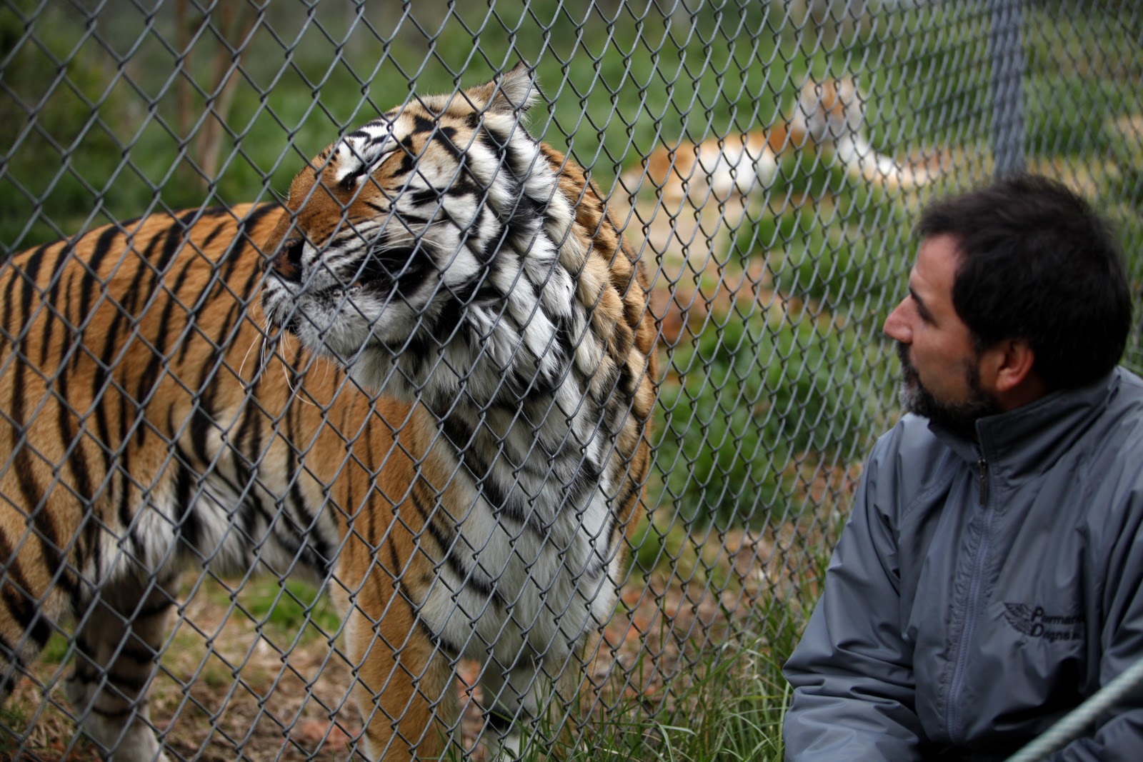 Sarah Hoffman Photo: Carolina Tiger Rescue