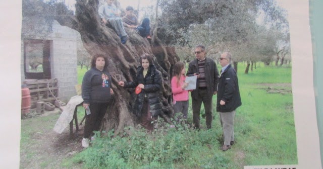 ΠΕΡΙΒΑΛΛΟΝ ΥΓΕΙΑ ΟΙΚΟΛΟΓΙΑ: ΚΠΕ ΚΑΛΑΜΑΤΑΣ-ΠΕΡΙΒΑΛΛΟΝΤΙΚΑ ΠΡΟΓΡΑΜΜΑΤΑ