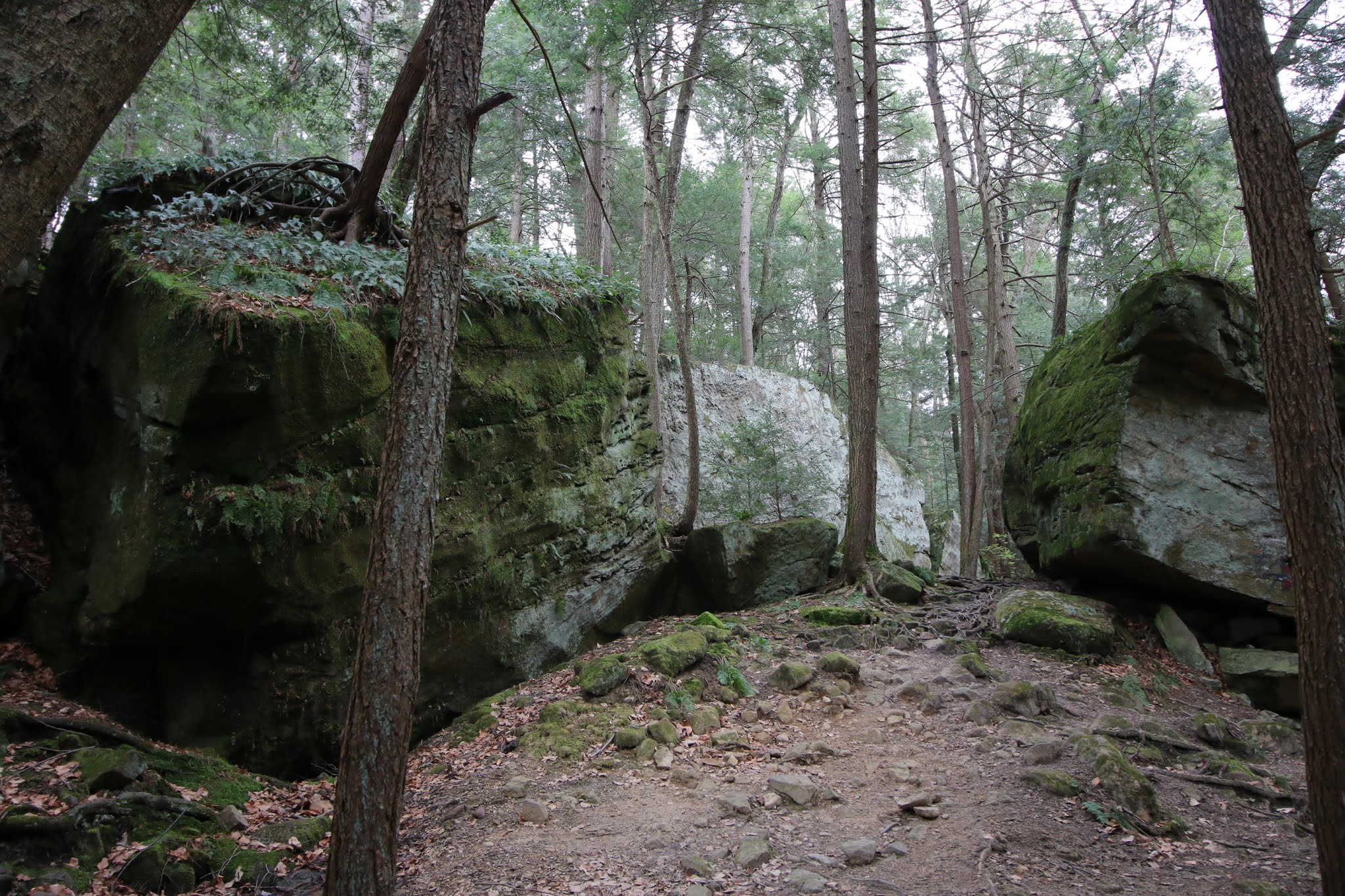Frew Mills Falls Area of Slippery Rock Creek and Grant City Falls ...