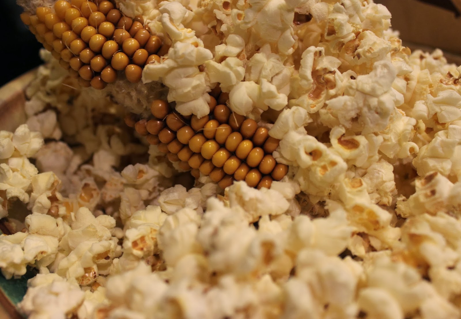 Foxhollow Farm Popcorn | Lindsey McClave
