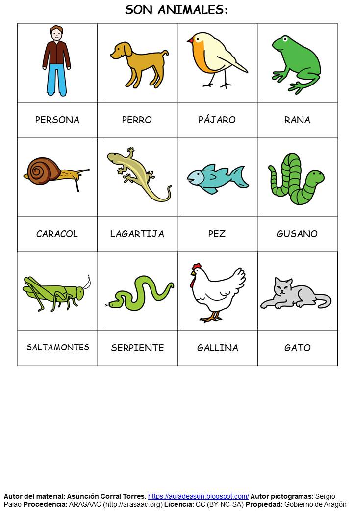 AUDICIÓN Y LENGUAJE: VOCABULARIO DE NATURALES: 1º EP Los animales