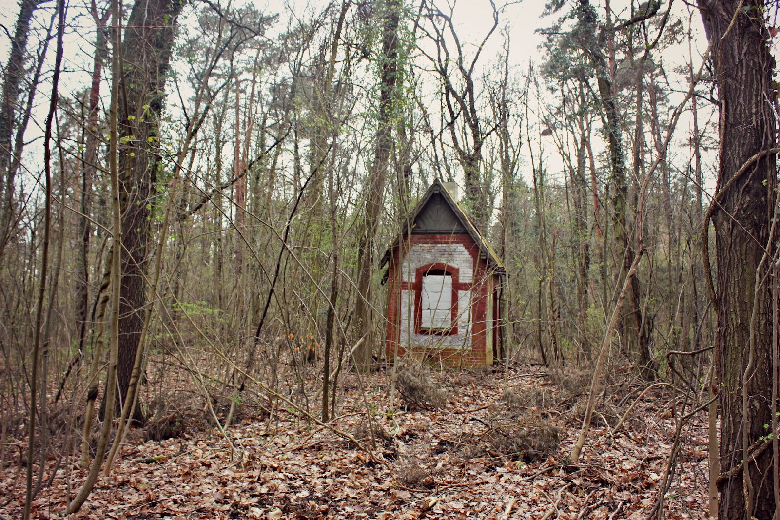 wonderings & wanderings: (belated) Beelitz