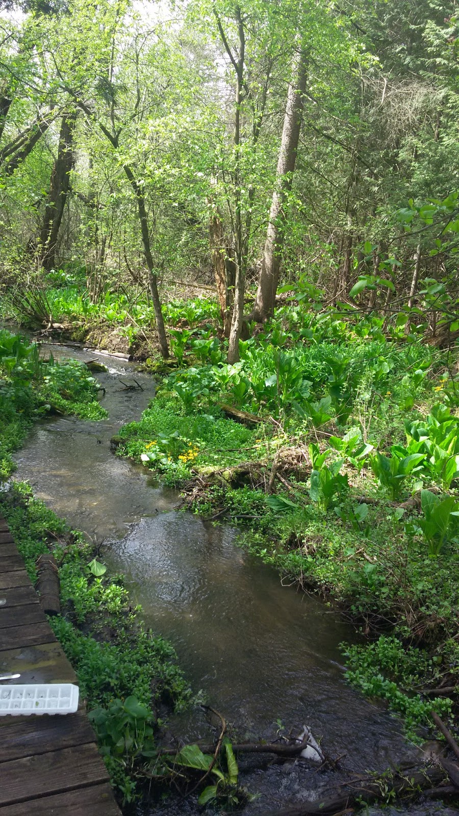 Geography 125: Retzer Nature Center
