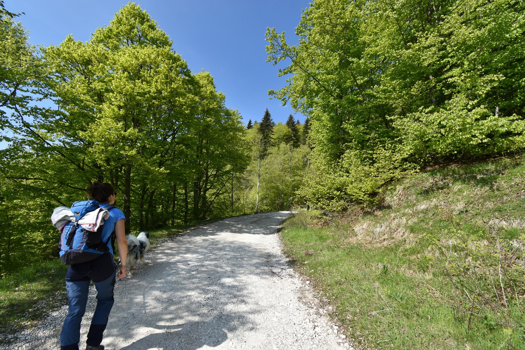 Forte Lisser: escursione da Enego