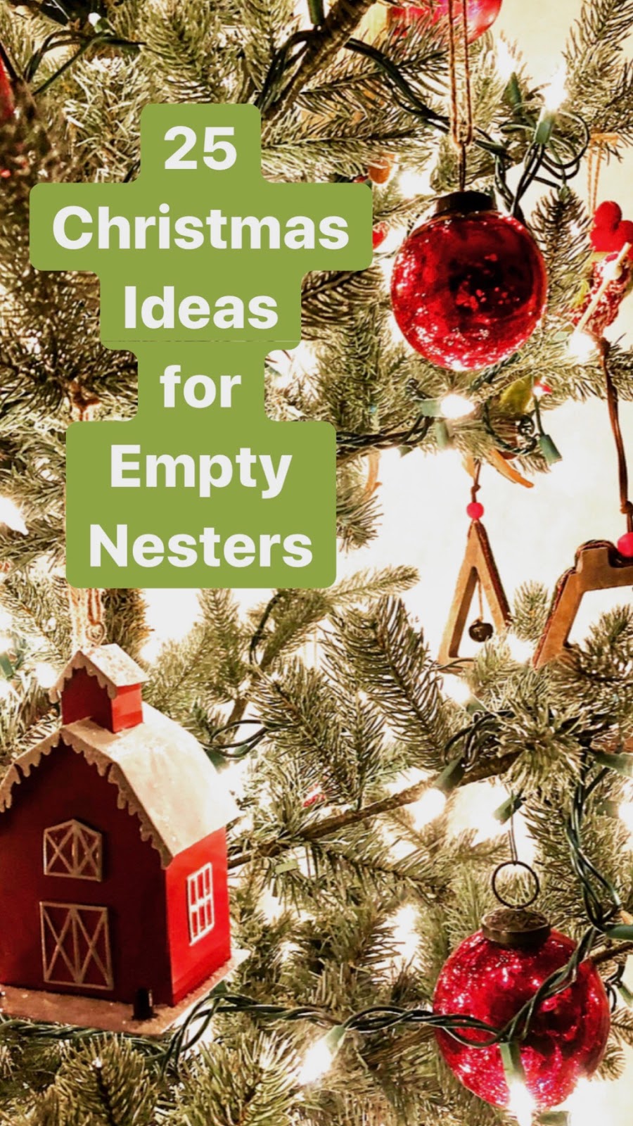 The Long Awaited Home: 25 New Christmas Traditions for Empty Nesters ...