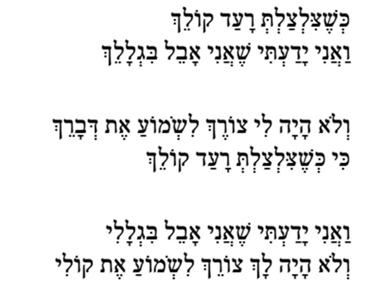 NATHAN ZACH, traducido del hebreo por Gerardo Lewin