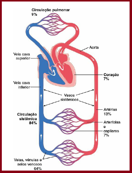 MEDICINA INTENSIVA CUSTOMIZADA
