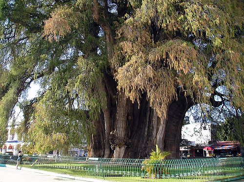 CONOCER MÉXICO POCO A POCO: - Chalma: El Santuario del Señor de Chalma