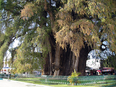 CONOCER MÉXICO POCO A POCO: - Chalma: El Santuario del Señor de Chalma