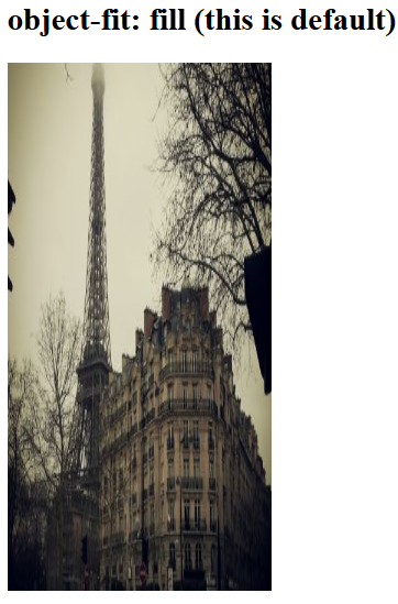 [Tips] CSS Object-fit property - Webzone - All things tech tips web ...