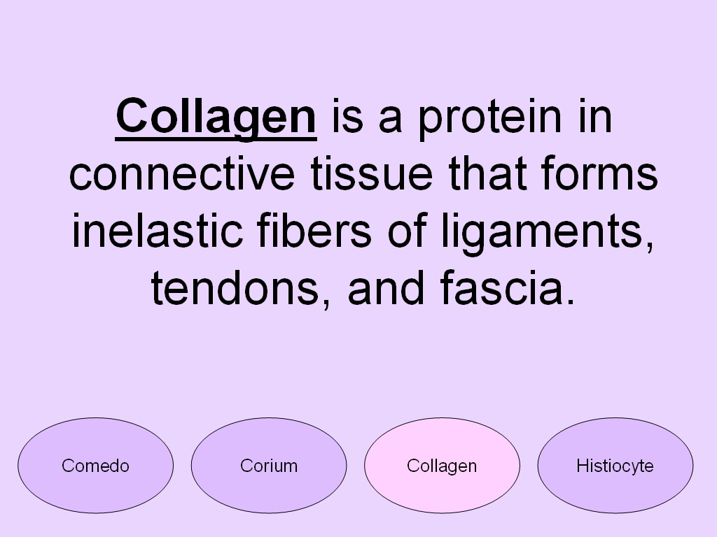 Student Survive 2 Thrive: Free Medical Terminology Practice Test: Skin ...