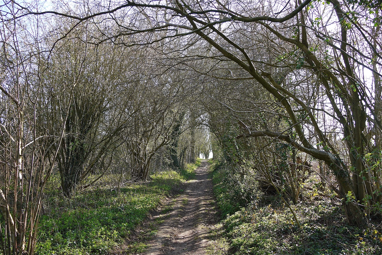Walking in the country: Breach Farm Cottages to Brown Candover ...