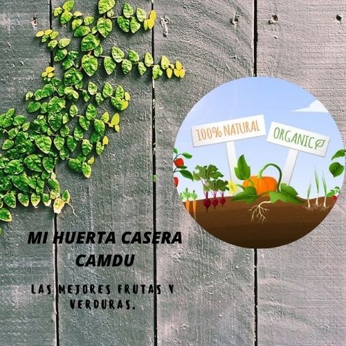 LOGO DE MI HUERTA CASERA.