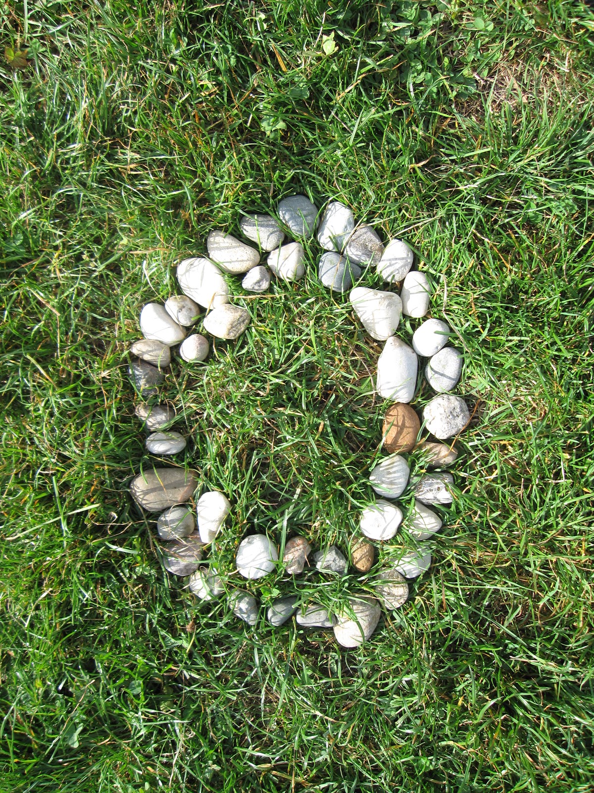 El Sol Art: Andy Goldsworthy Study