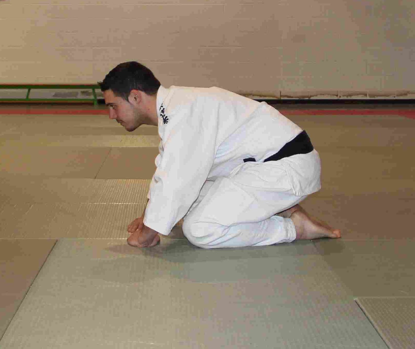 Judo Académie Jurbise : 2017