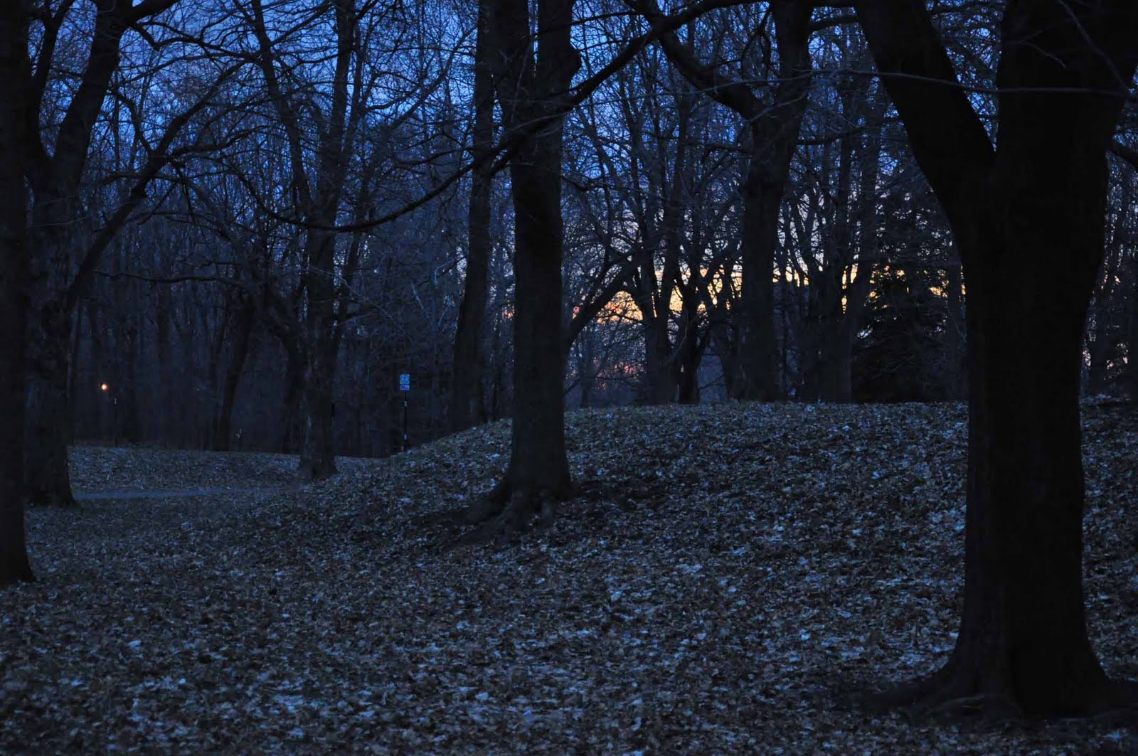 one day: nightfall on mt royal