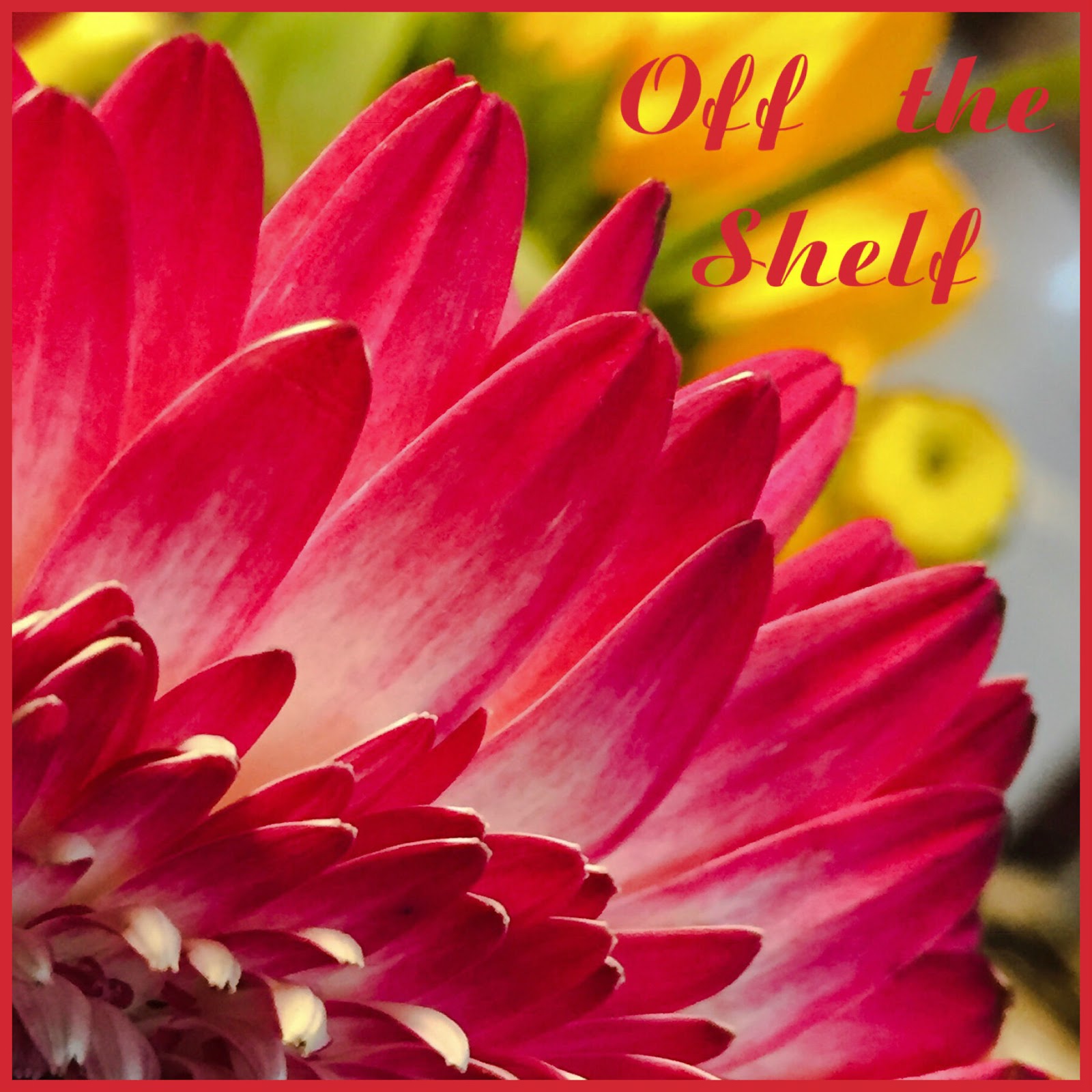 Beth Fish Reads: Off the Shelf; Or What's New in My Corner of the World 9