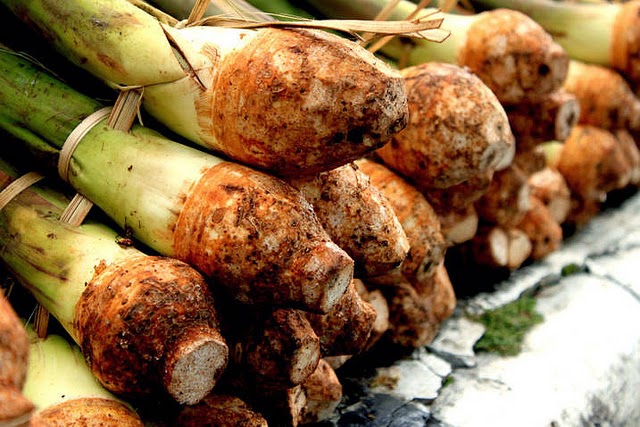 What are the Health Benefits of Taro - VegetaFruit