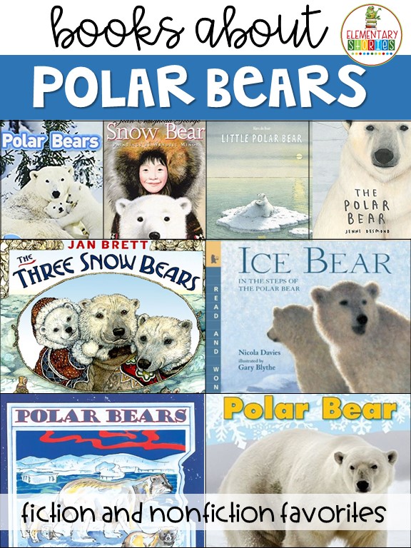 Non Fiction Bear Books