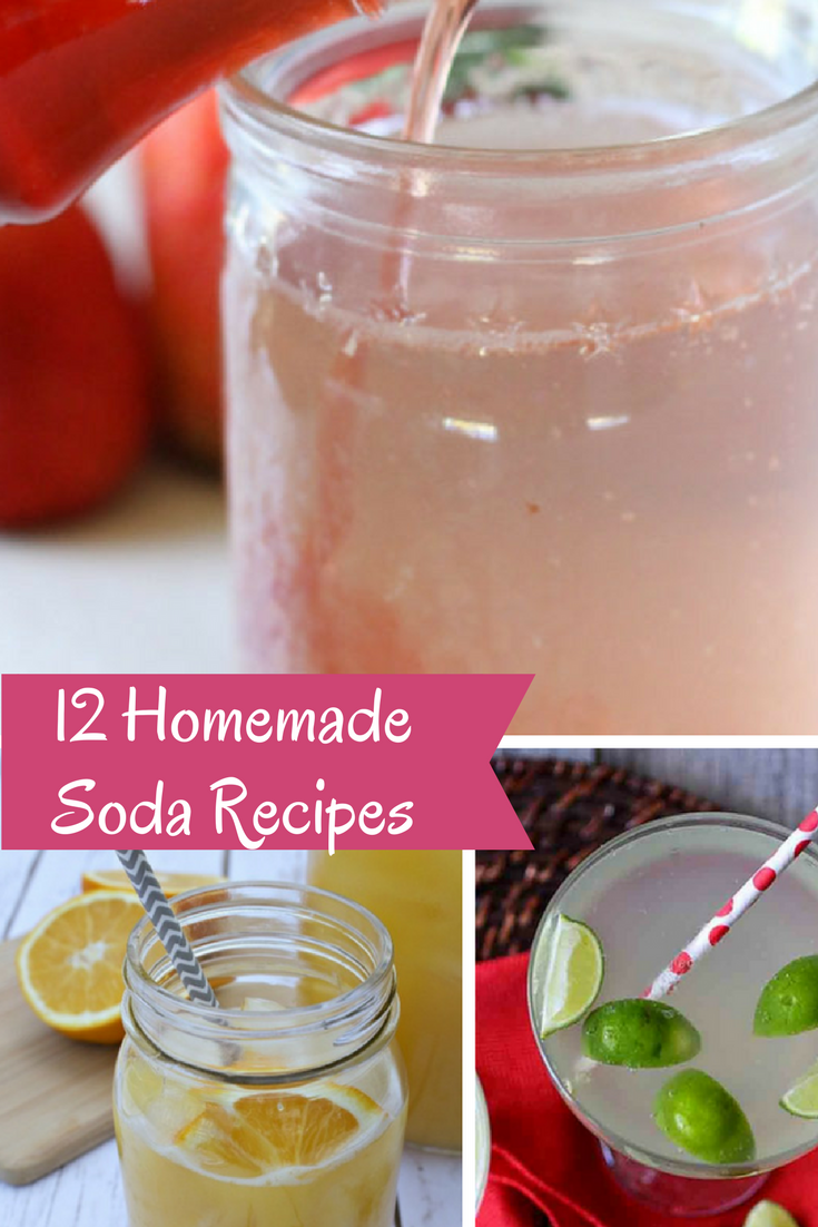 Sweet Silly Sara: 12 Homemade Soda Recipes